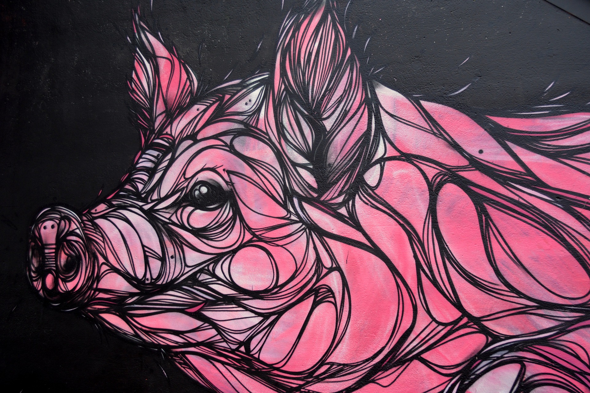 【Michael Stuart】From Paintings to Pig-Human Hybrids: Imagination and ...
